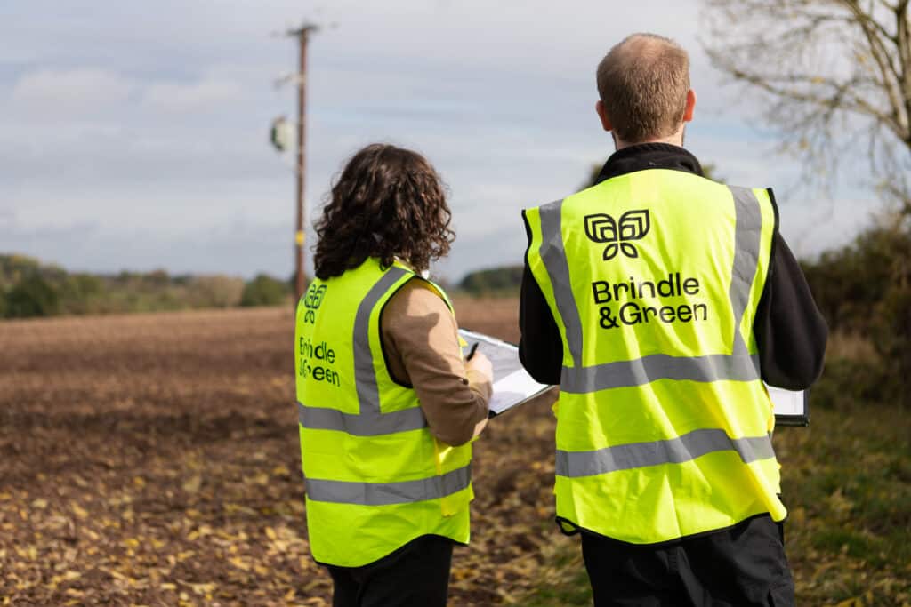 Contracting - Brindle & Green