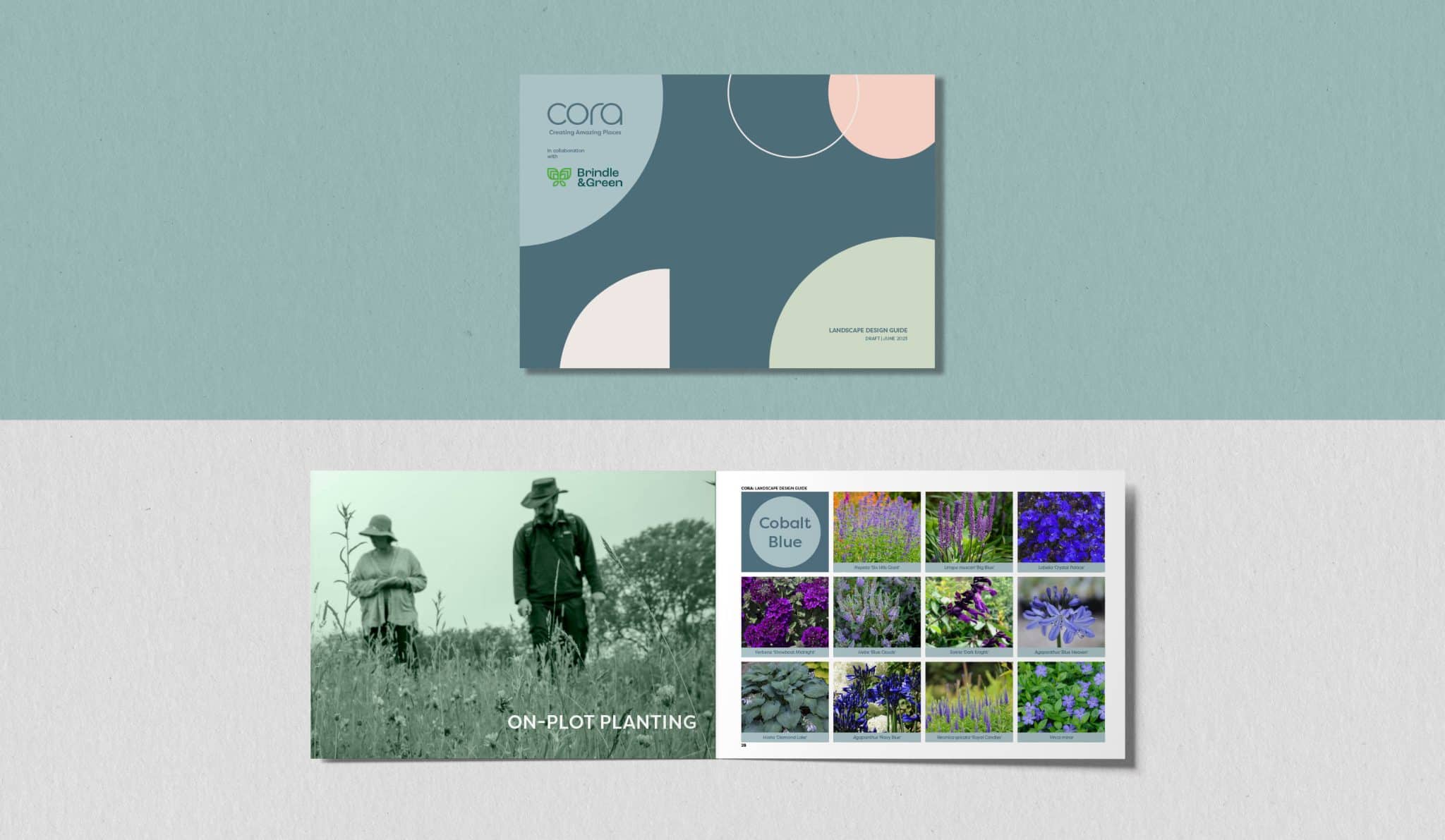 Brindle & Green in Collaboration with Cora - Landscape Design Guide ...