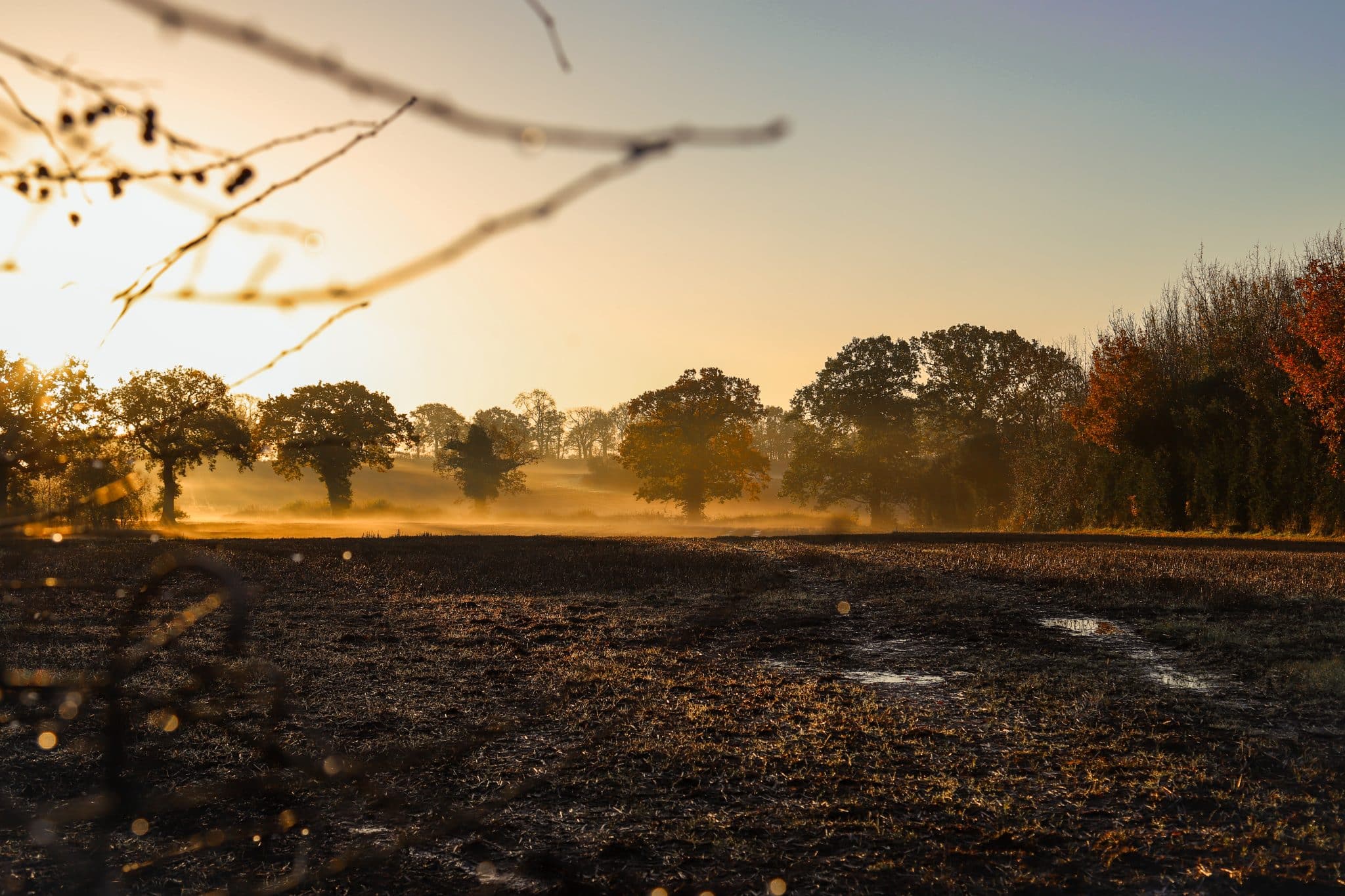 The History of Radbourne - Brindle & Green