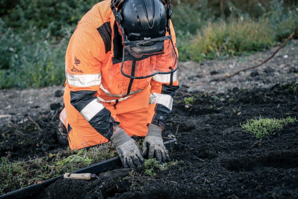 BNG with B&G! - Brindle & Green