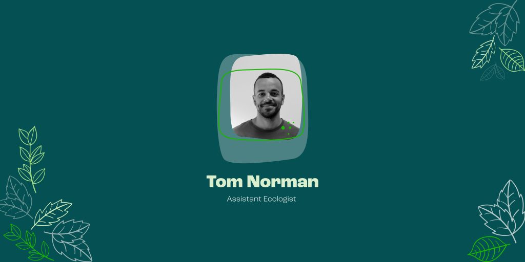 Tom Norman Joins Ecology - Brindle & Green