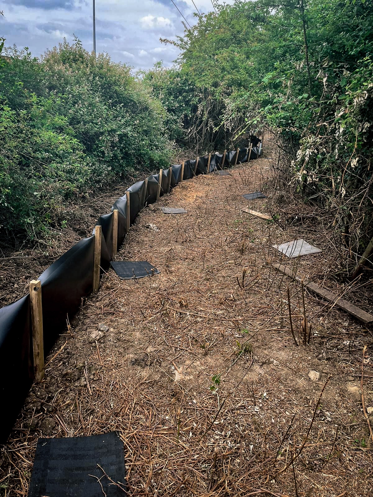 GCN & Reptile Fencing - Brindle & Green