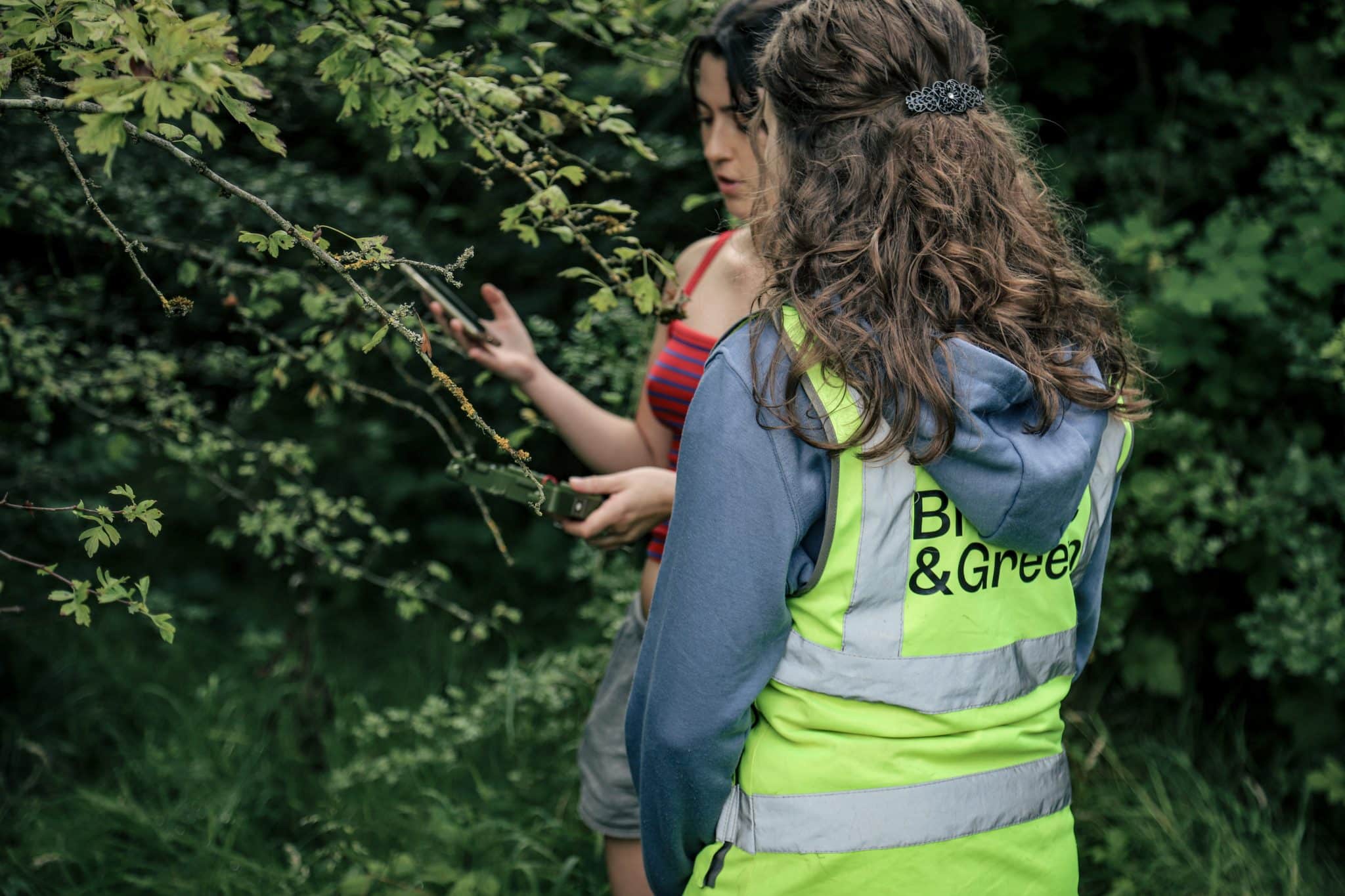 Work Experience: Exploring career paths with Isabelle - Brindle & Green