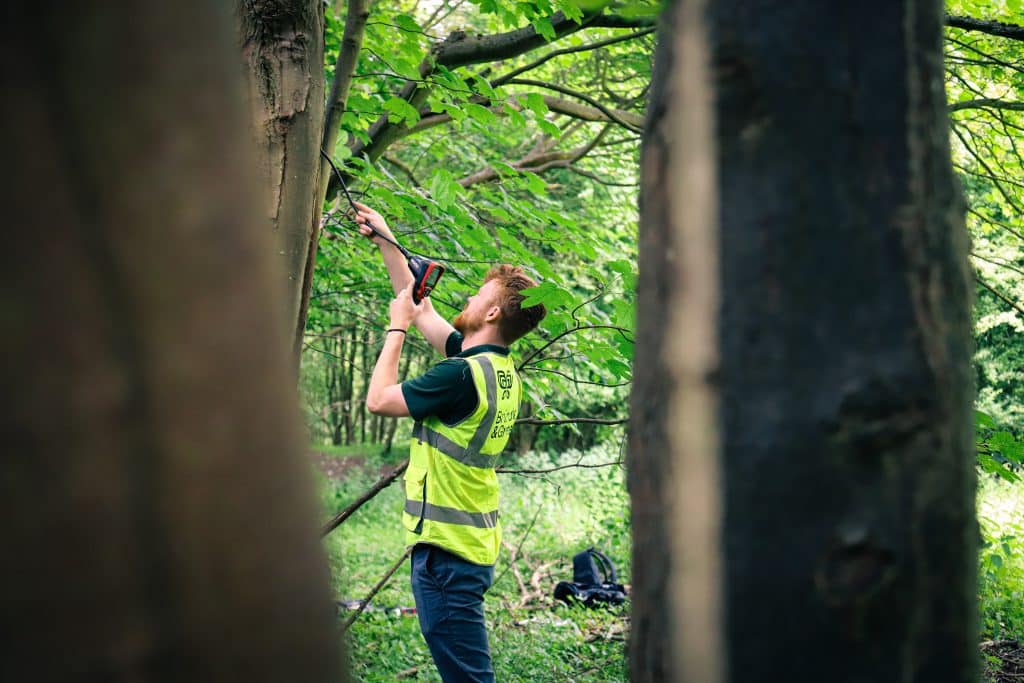 Senior Ecologist - Brindle & Green